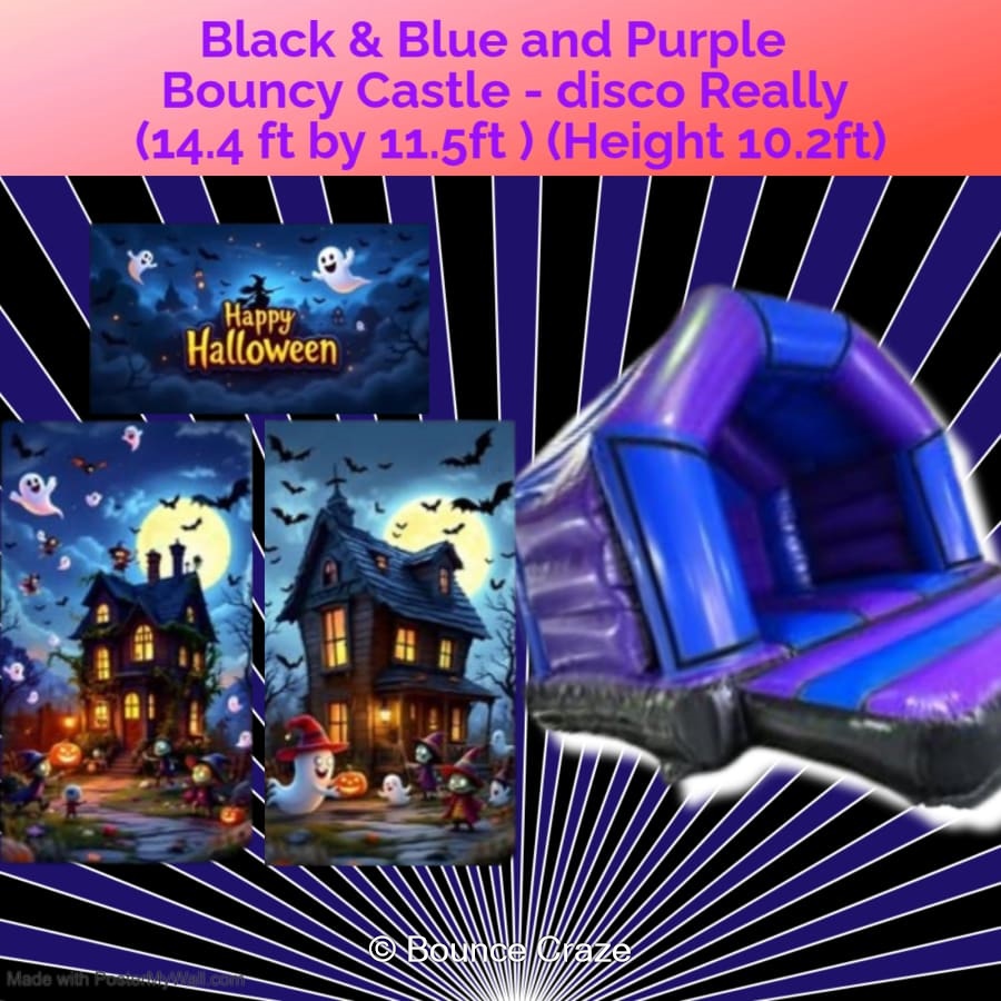 Purple & Blue Castle (12ft by 14ft) - micky mouse Theme - Bouncy Castle ...