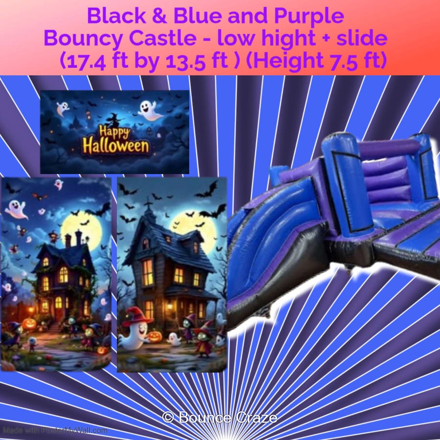 Purple & Blue Castle with low slide (14ft by 18ft) - micky mouse Theme ...